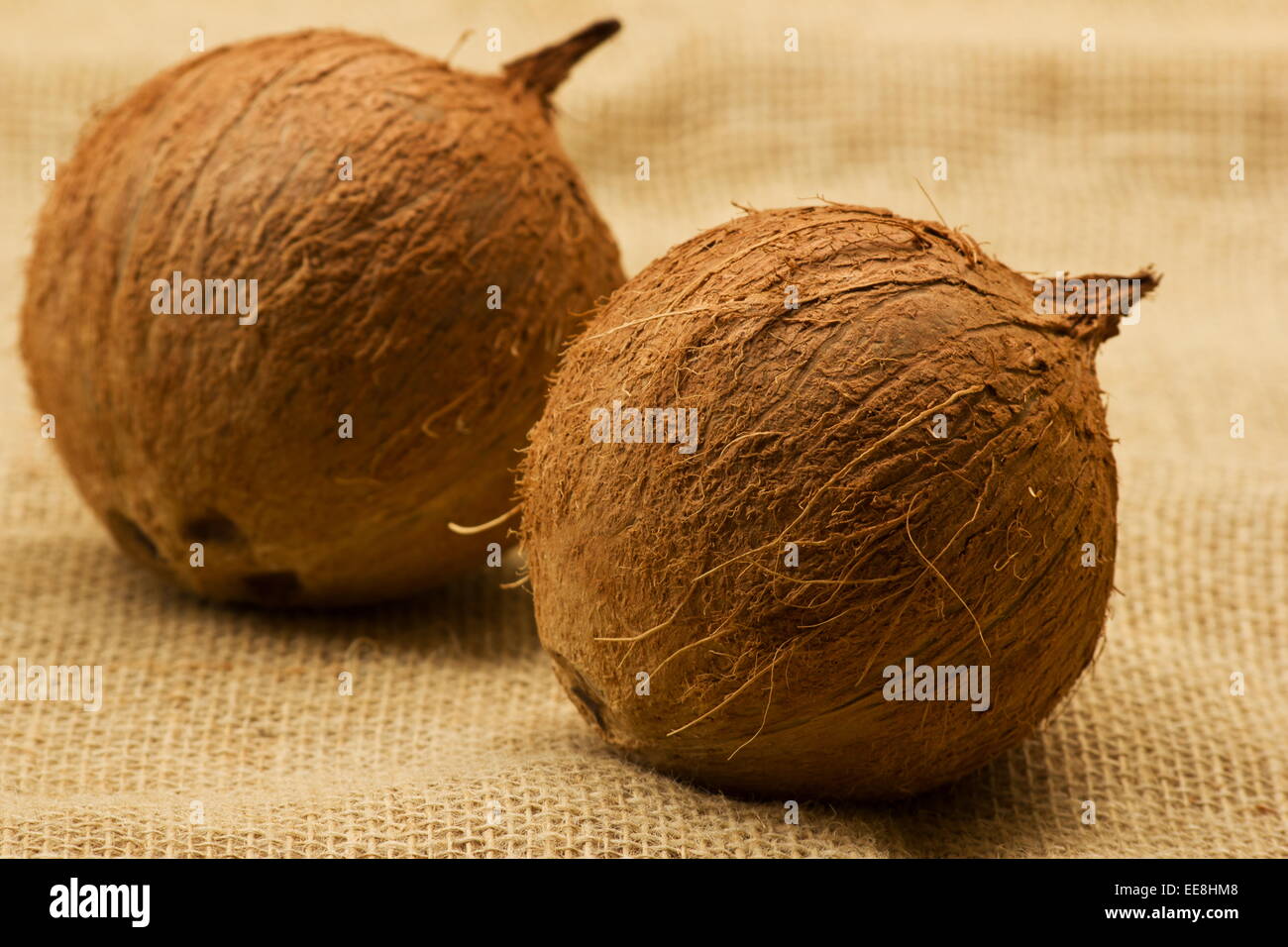 Dried coconuts hi-res stock photography and images - Alamy