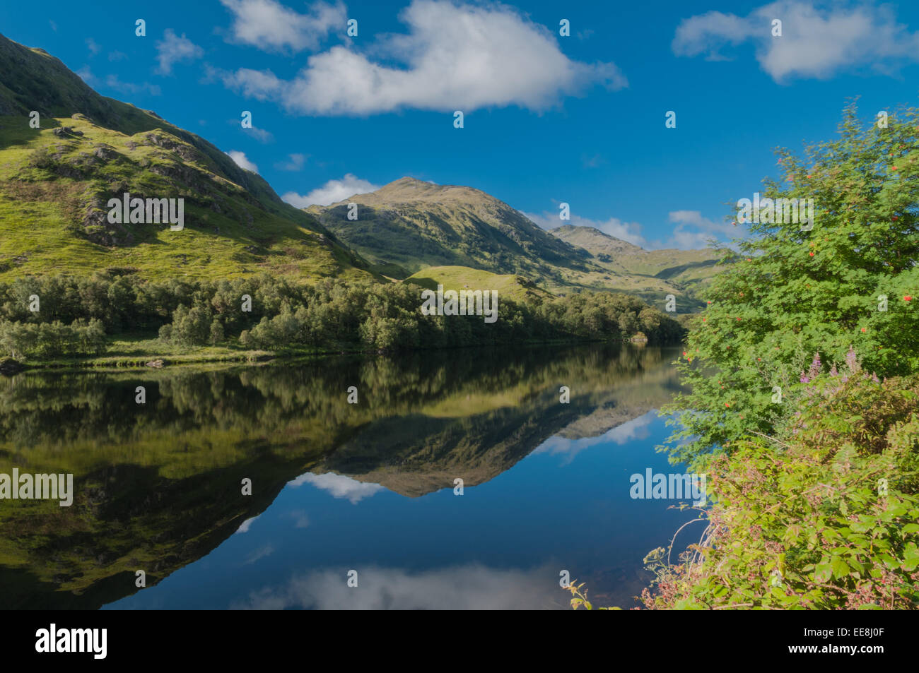 Reflections on Loch Eilt nr Lochailort Lochaber Highland Scotland UK 08 ...
