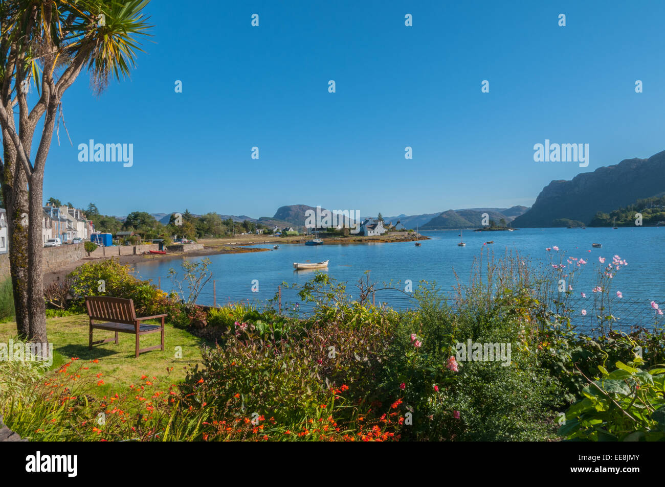 Palm trees and garden at Plockton Highland Scotland with boats on Loch ...
