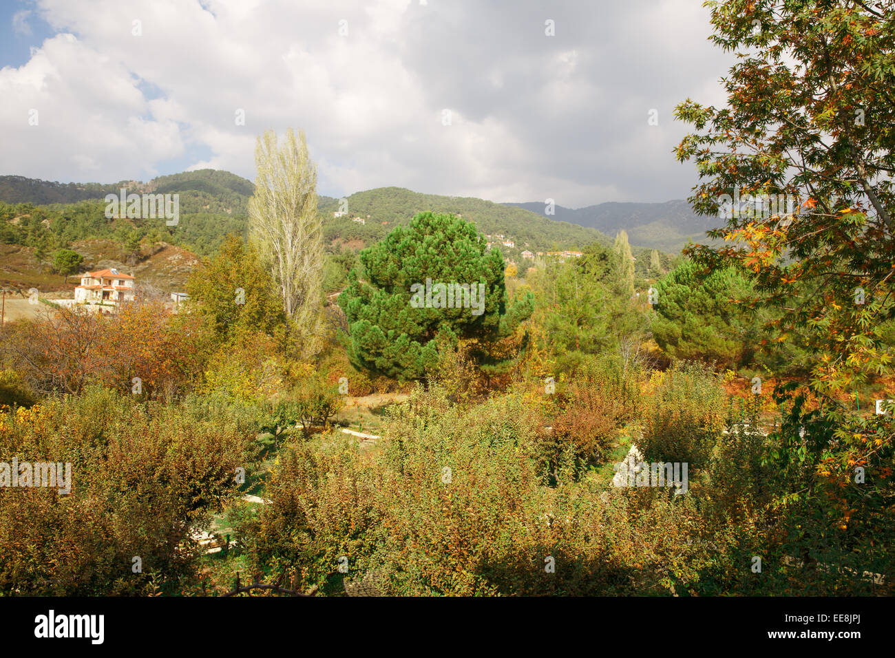 Village in cyprus mountains hi-res stock photography and images - Alamy