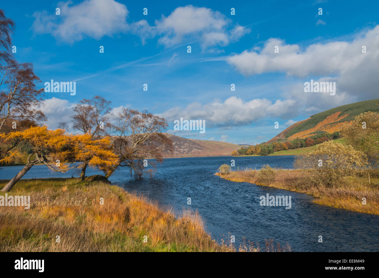 Autumn colours St Mary's Loch nr Cappercleuch Scottish Borders Scotland ...