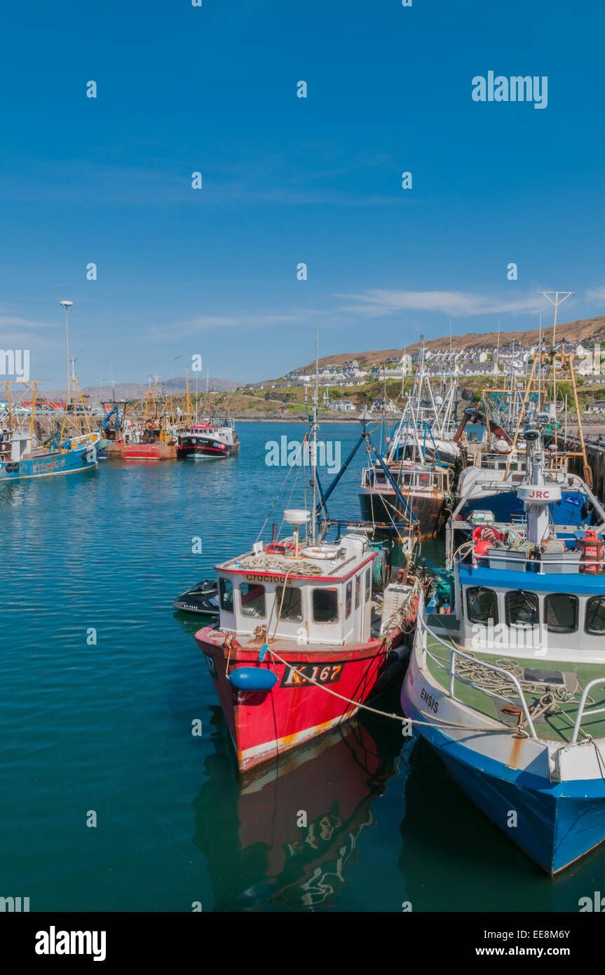 Fishing boats in Mallaig Harbour Highland Scotland Stock Photo - Alamy