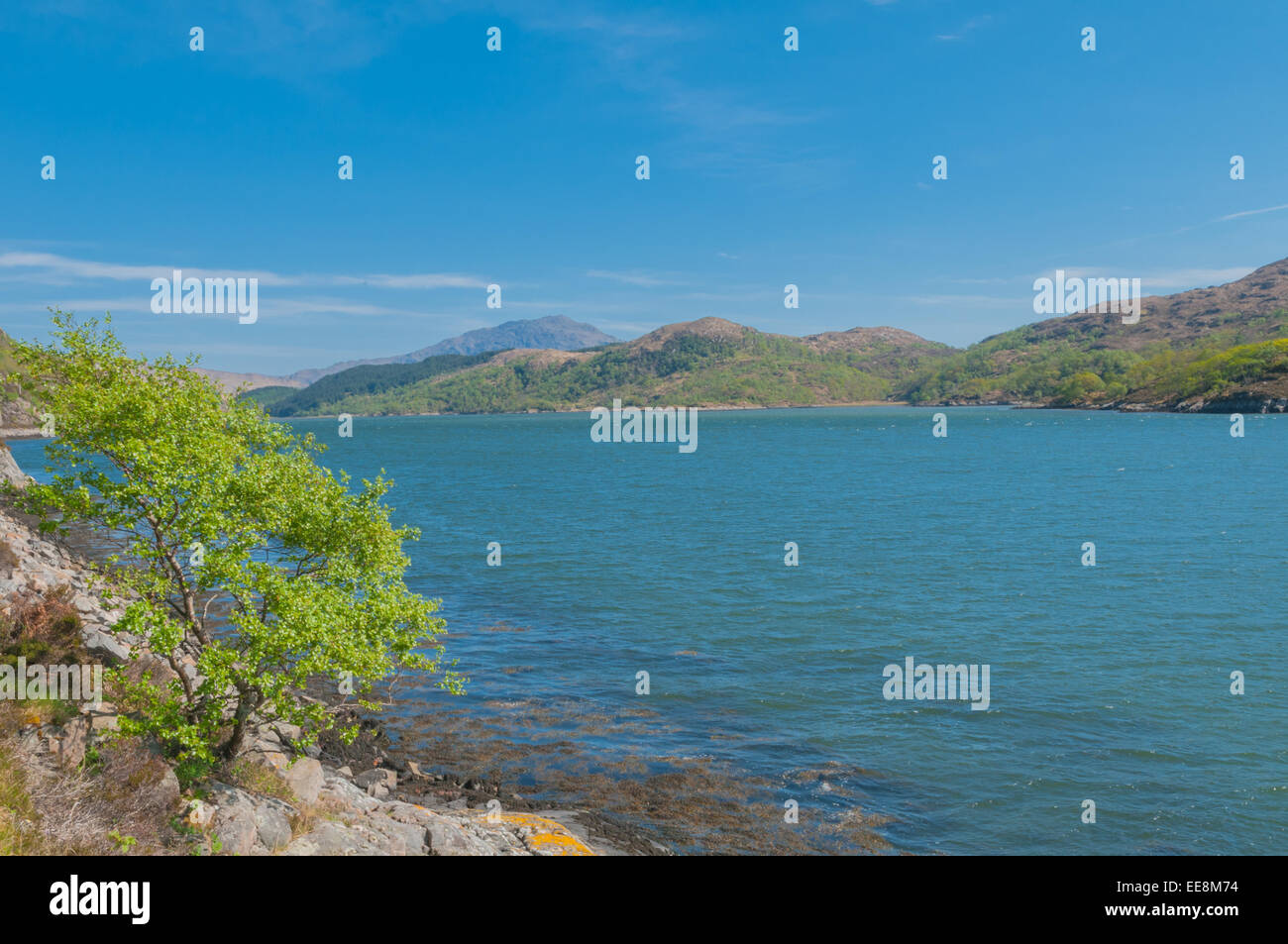 Moidart hi-res stock photography and images - Alamy