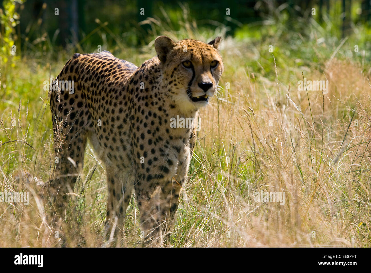 100 km run hi-res stock photography and images - Alamy