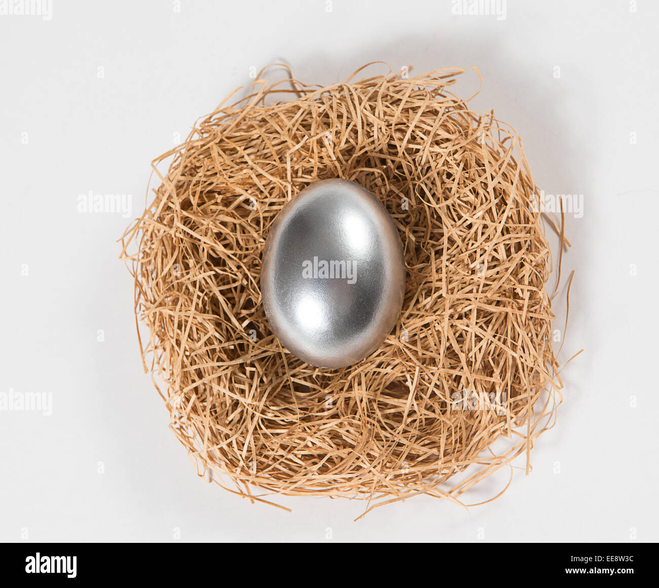 One silver egg in a nest Stock Photo - Alamy