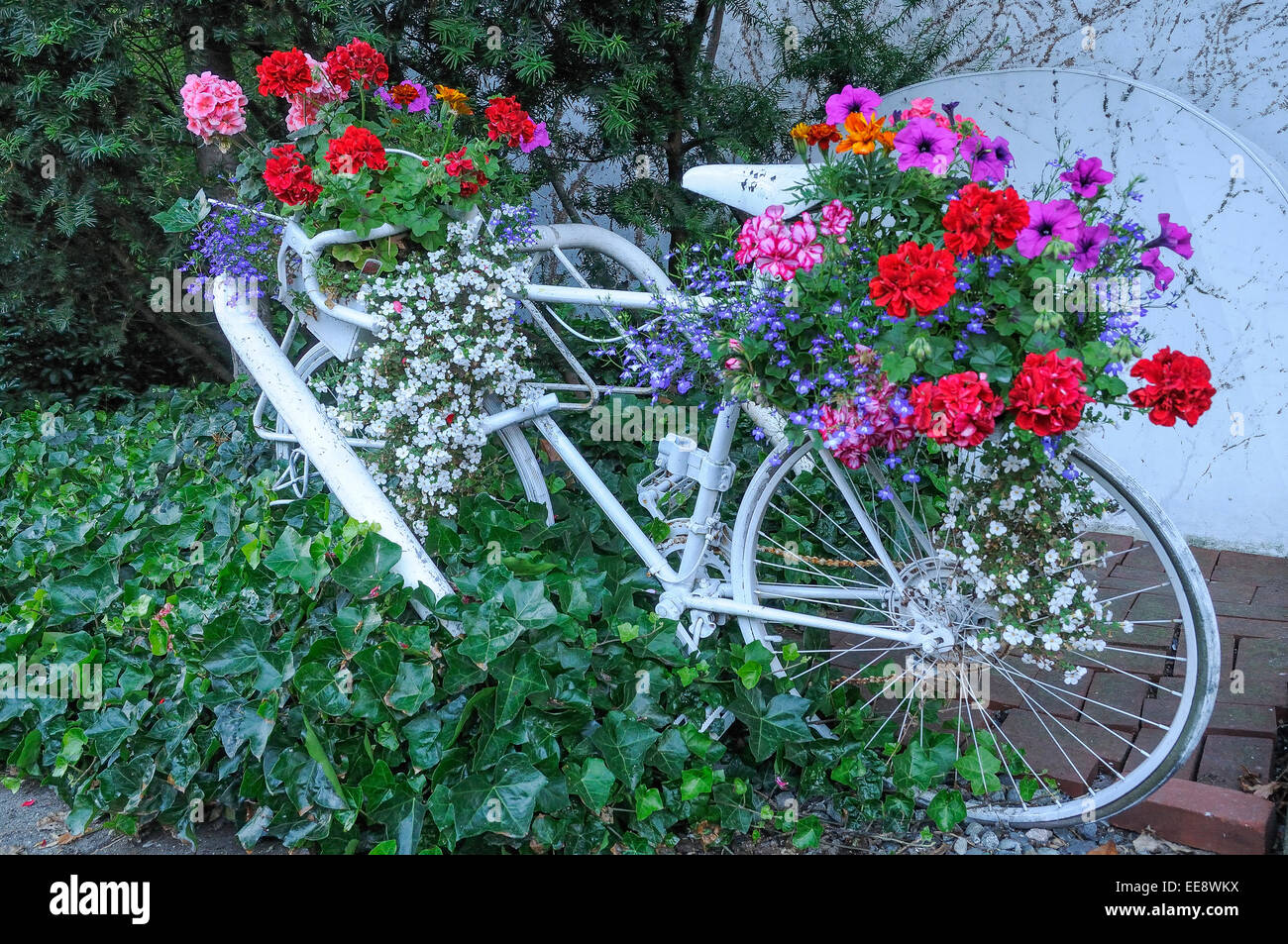 Bicycle with flowers Stock Photo - Alamy