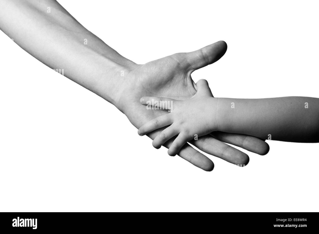 children and man hands isolated on white black and white Stock Photo ...
