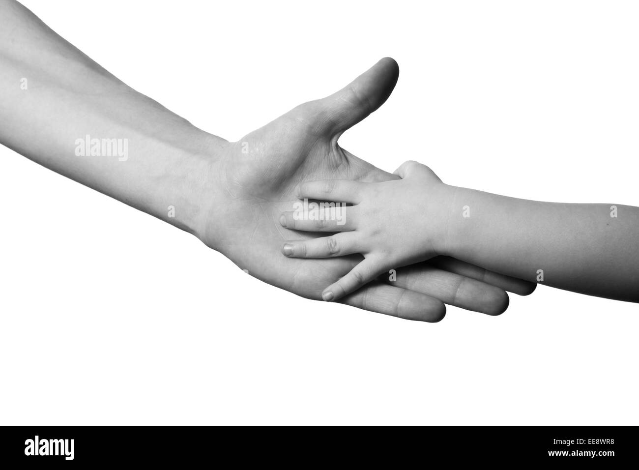 children and man hands isolated on white black and white Stock Photo ...