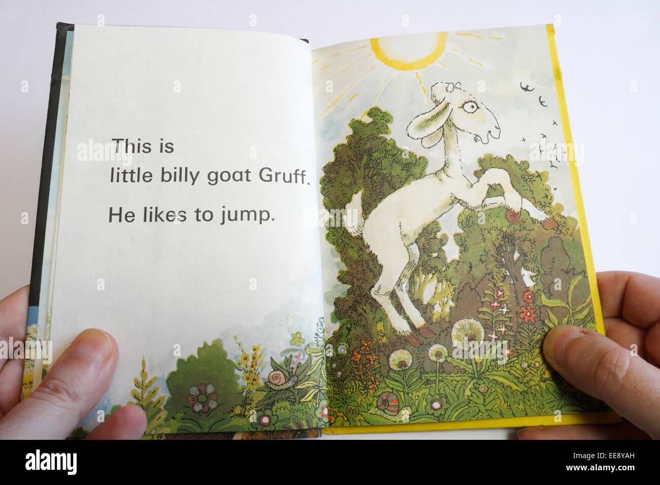 Children Reading Ladybird Book High Resolution Stock Photography and ...