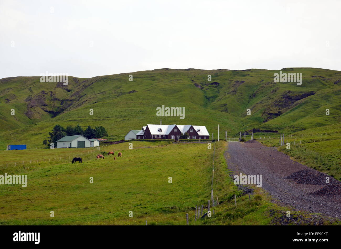 Bucolic landscape in icelandic farm with mountains and grass meadow ...