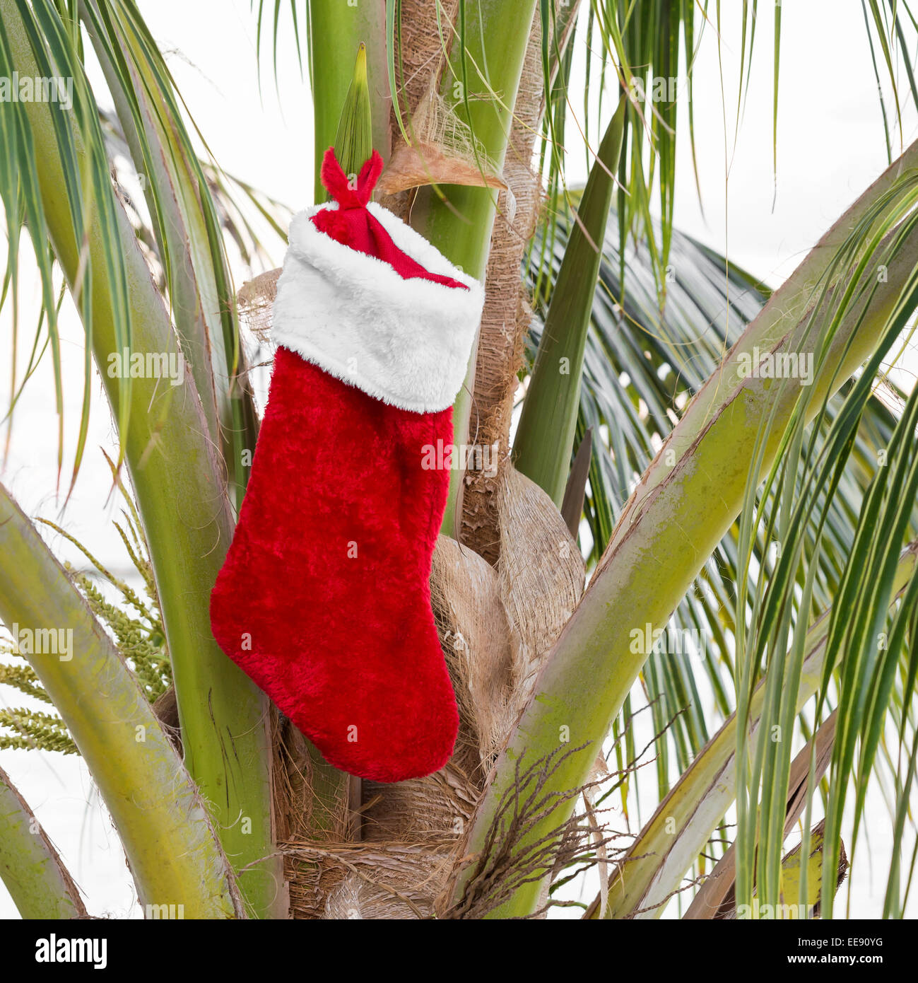 Coconut Tree Decorations
