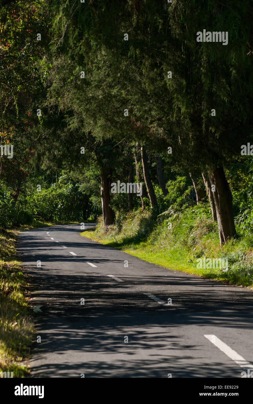 Java road hi-res stock photography and images - Alamy