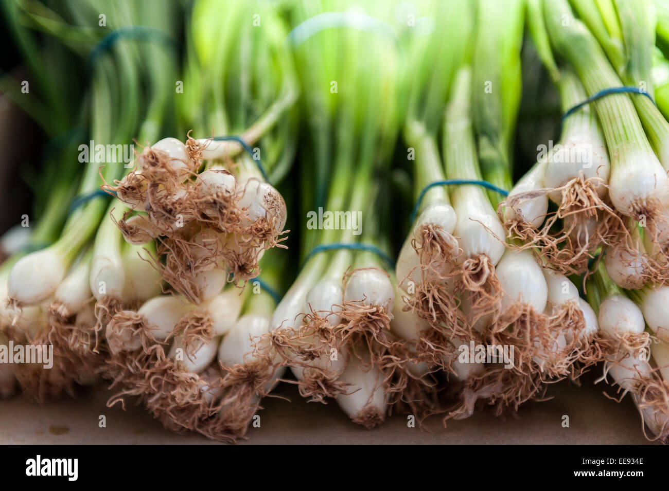 Spring onions on a market stall Stock Photo - Alamy