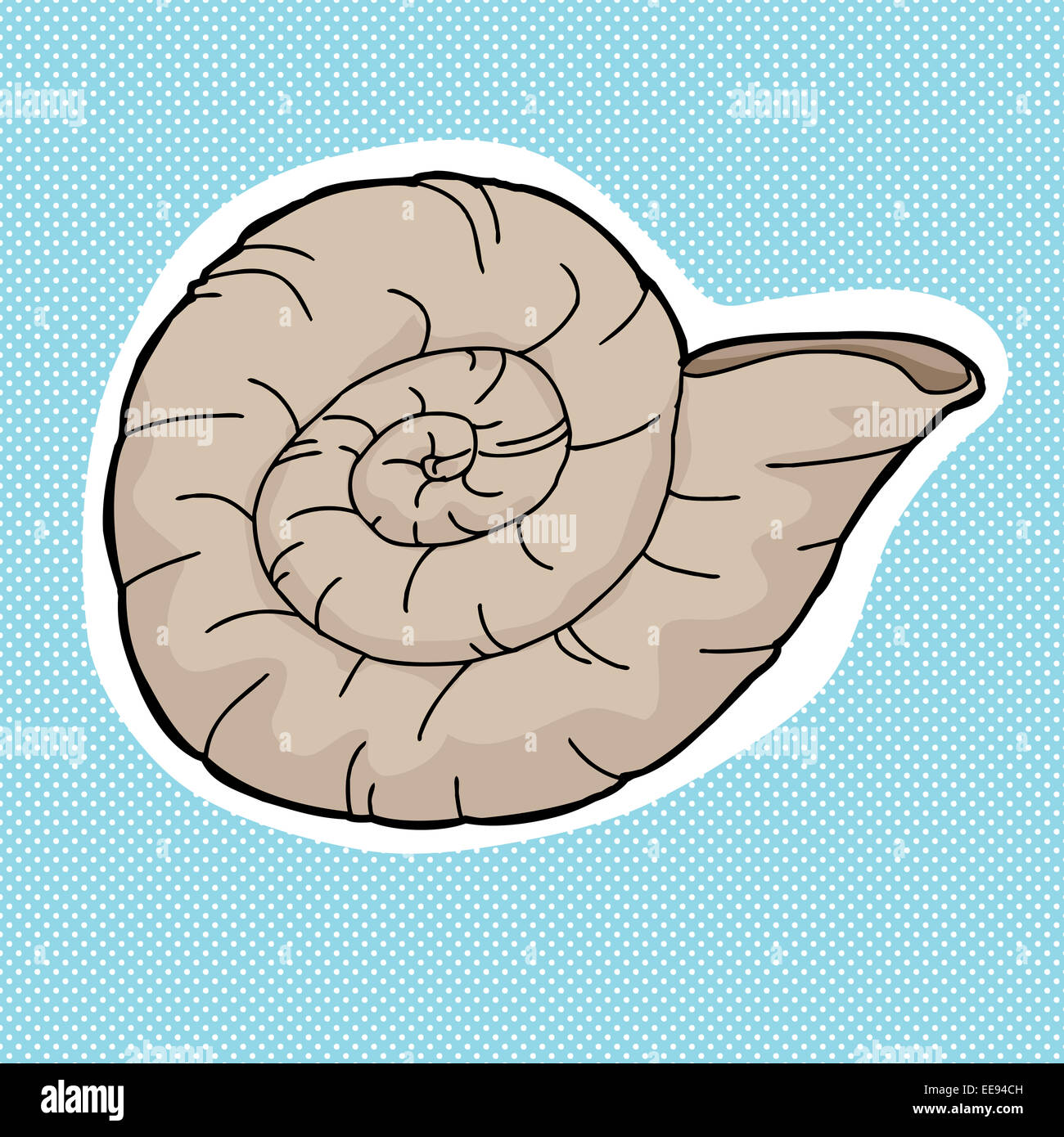 Single Ammonite shellfish fossil over blue background Stock Photo - Alamy