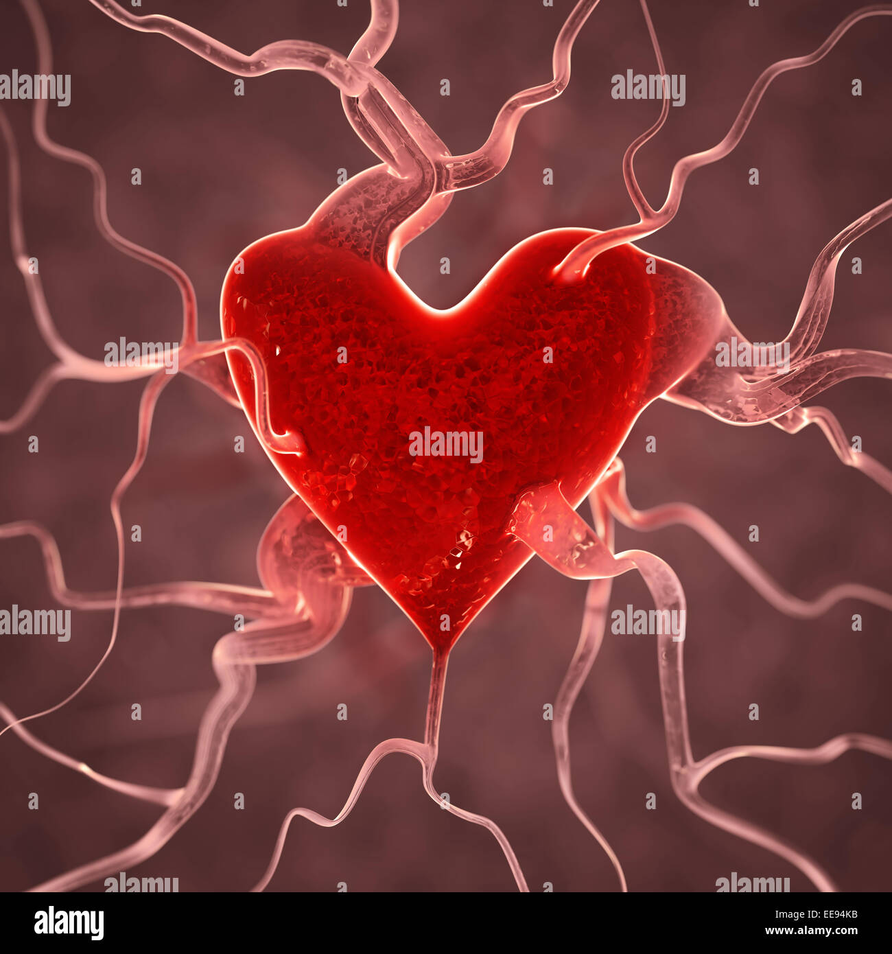 Heart and arteries hi-res stock photography and images - Alamy