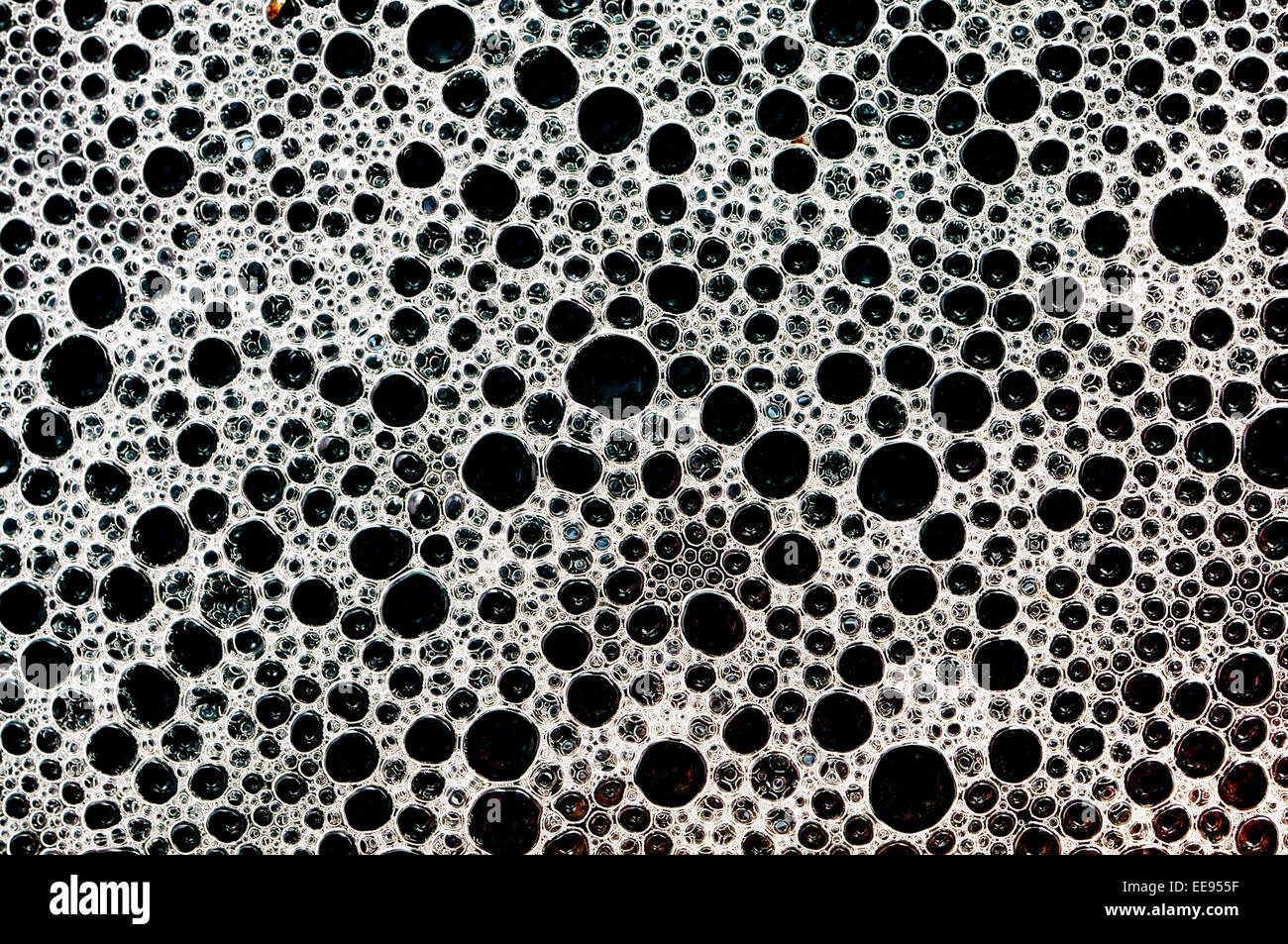 Organic Form Photography