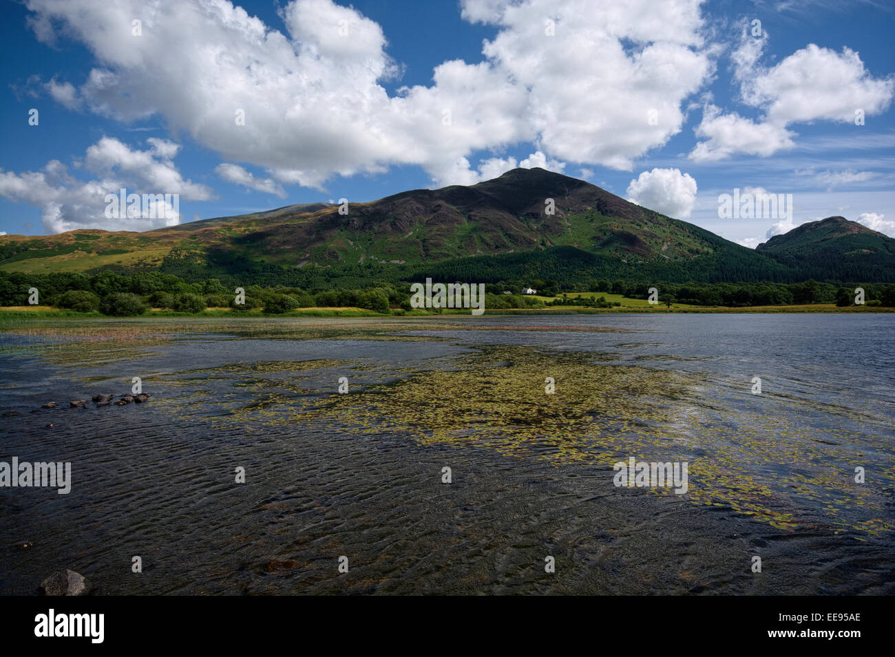 Bassenthwaite in the Lake District National Park, Cumbria Stock Photo ...