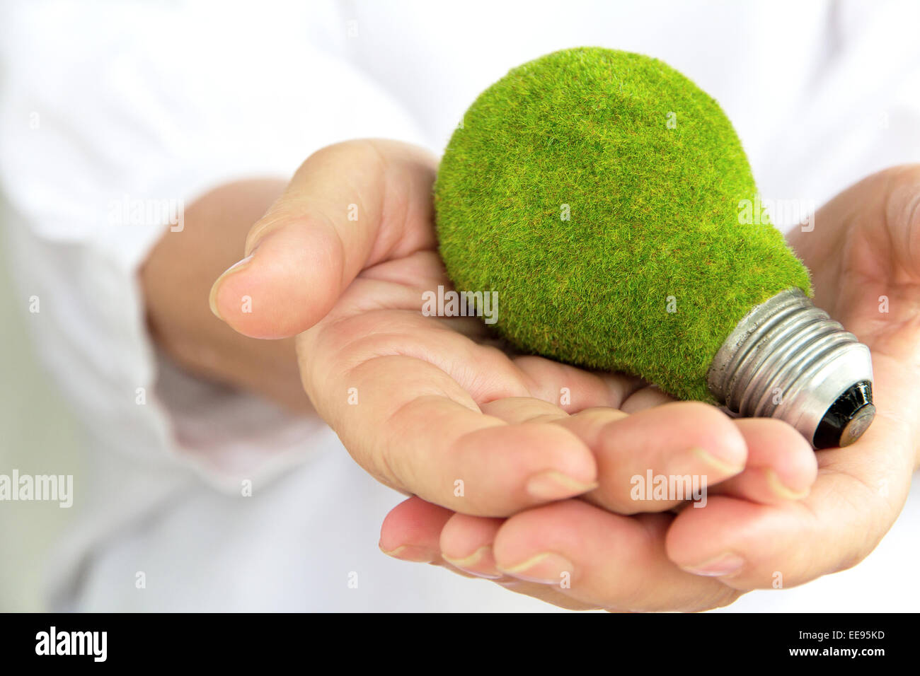 hand holding eco light bulb Stock Photo - Alamy