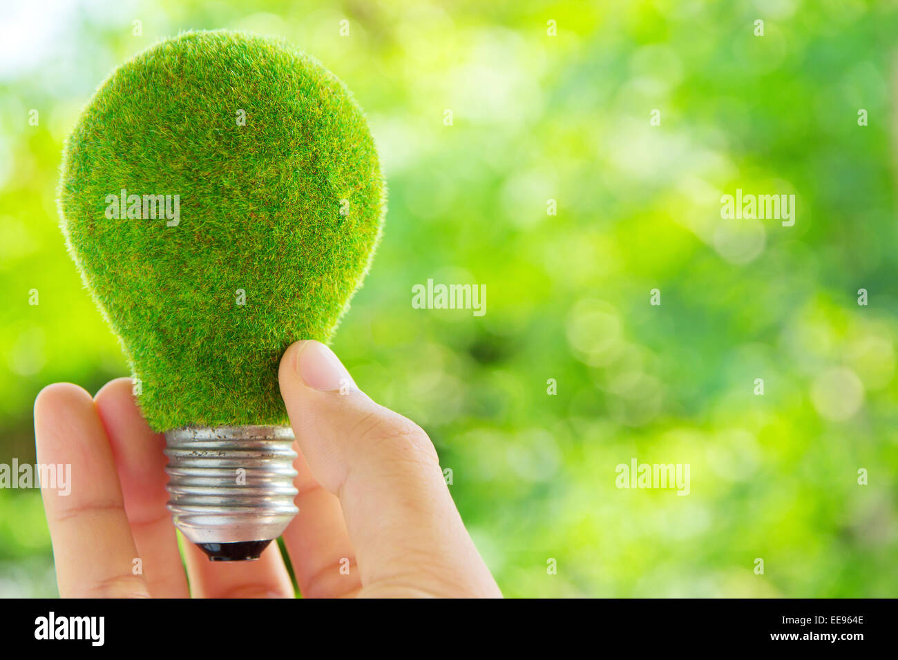 eco light bulb energy concept Stock Photo - Alamy