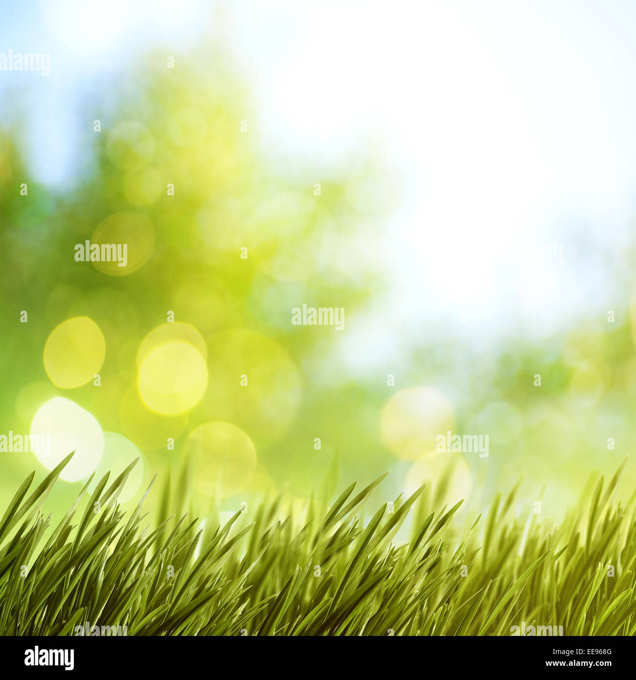 summer natural backgrounds for your design Stock Photo - Alamy