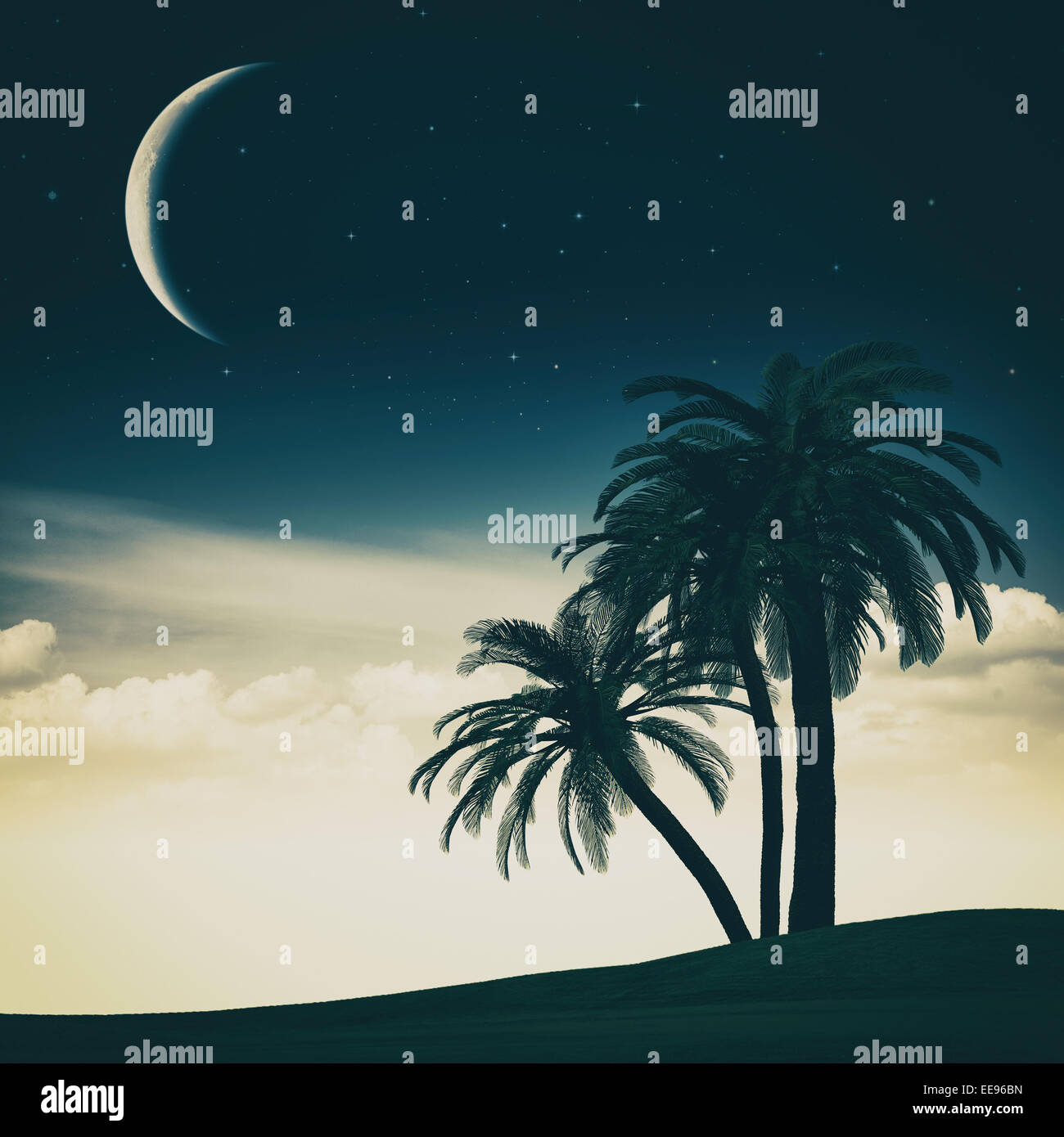 Tropical summer, abstract travel backgrounds for your design Stock ...