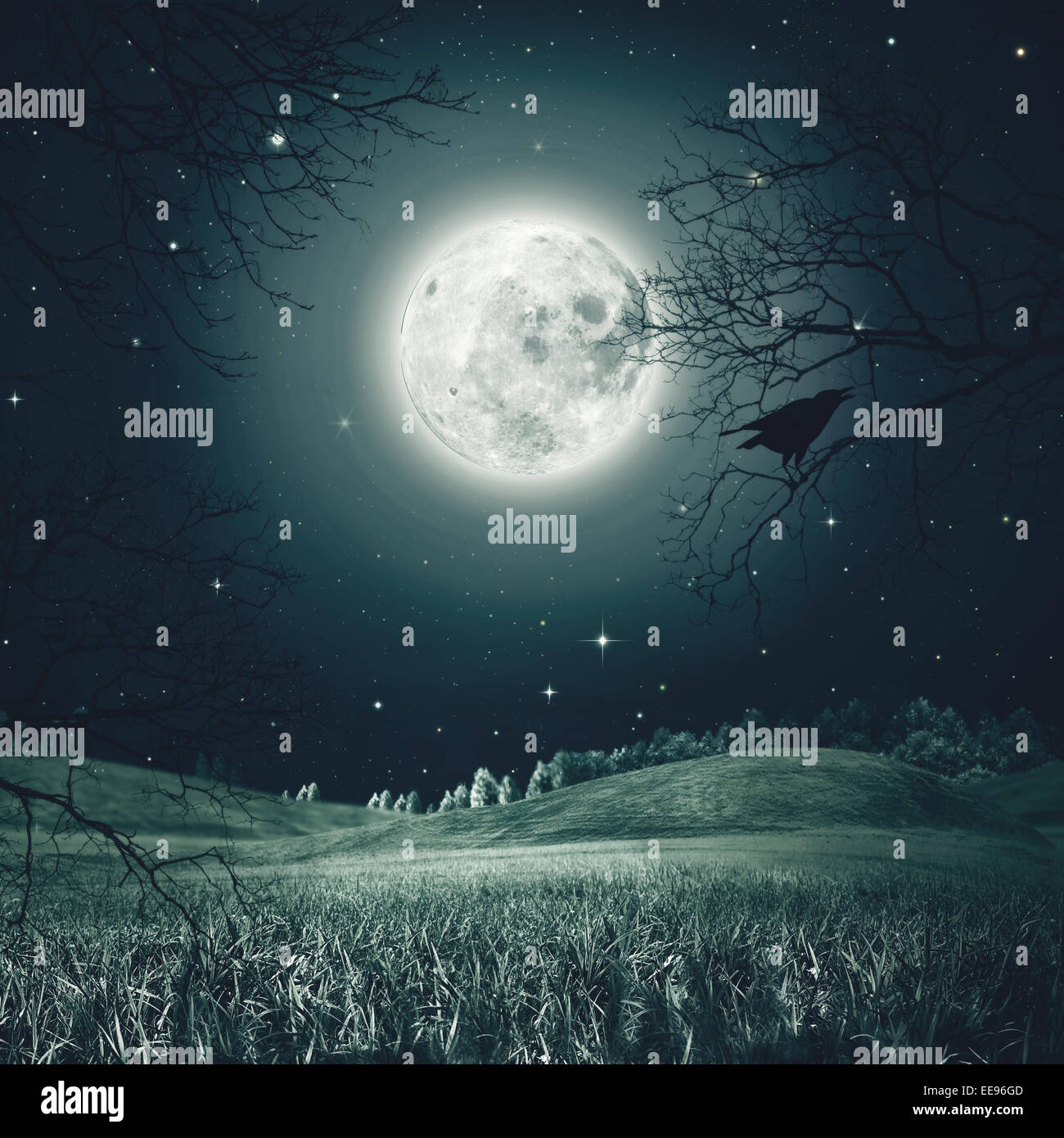 Halloween night on the spooky meadow. Abstract holidays backgrounds ...