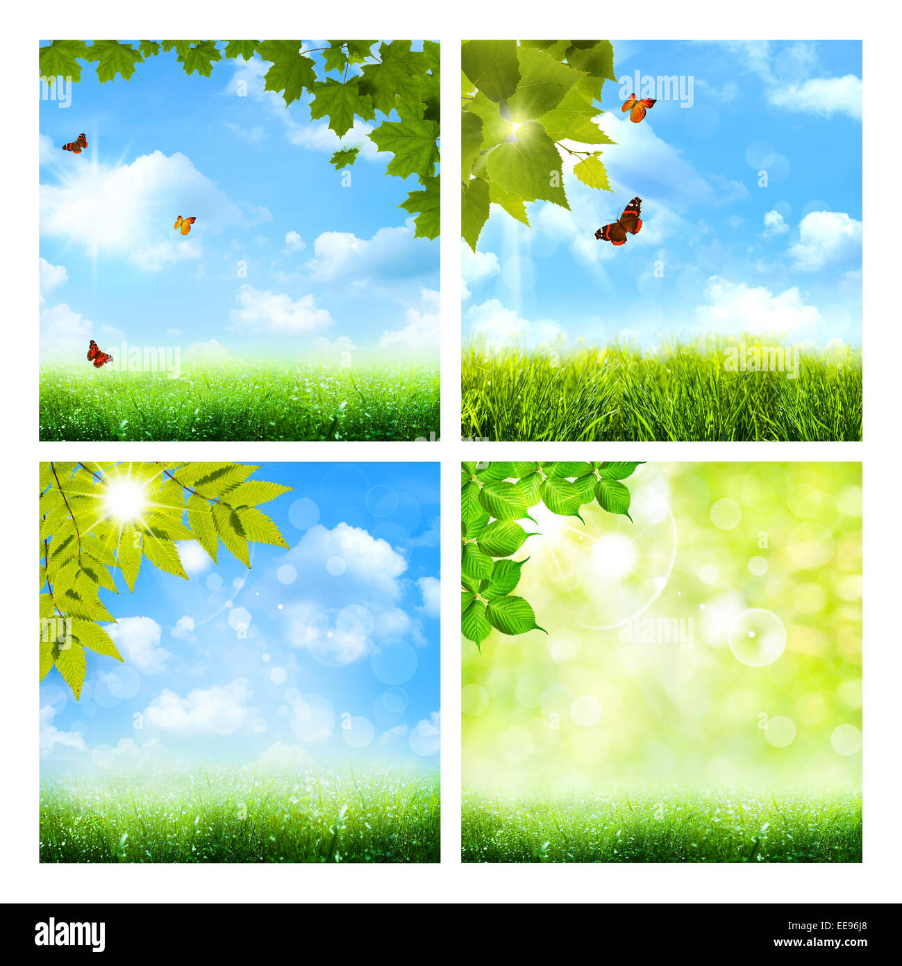 Set of assorted summer seasonal backgrounds for your design Stock Photo ...