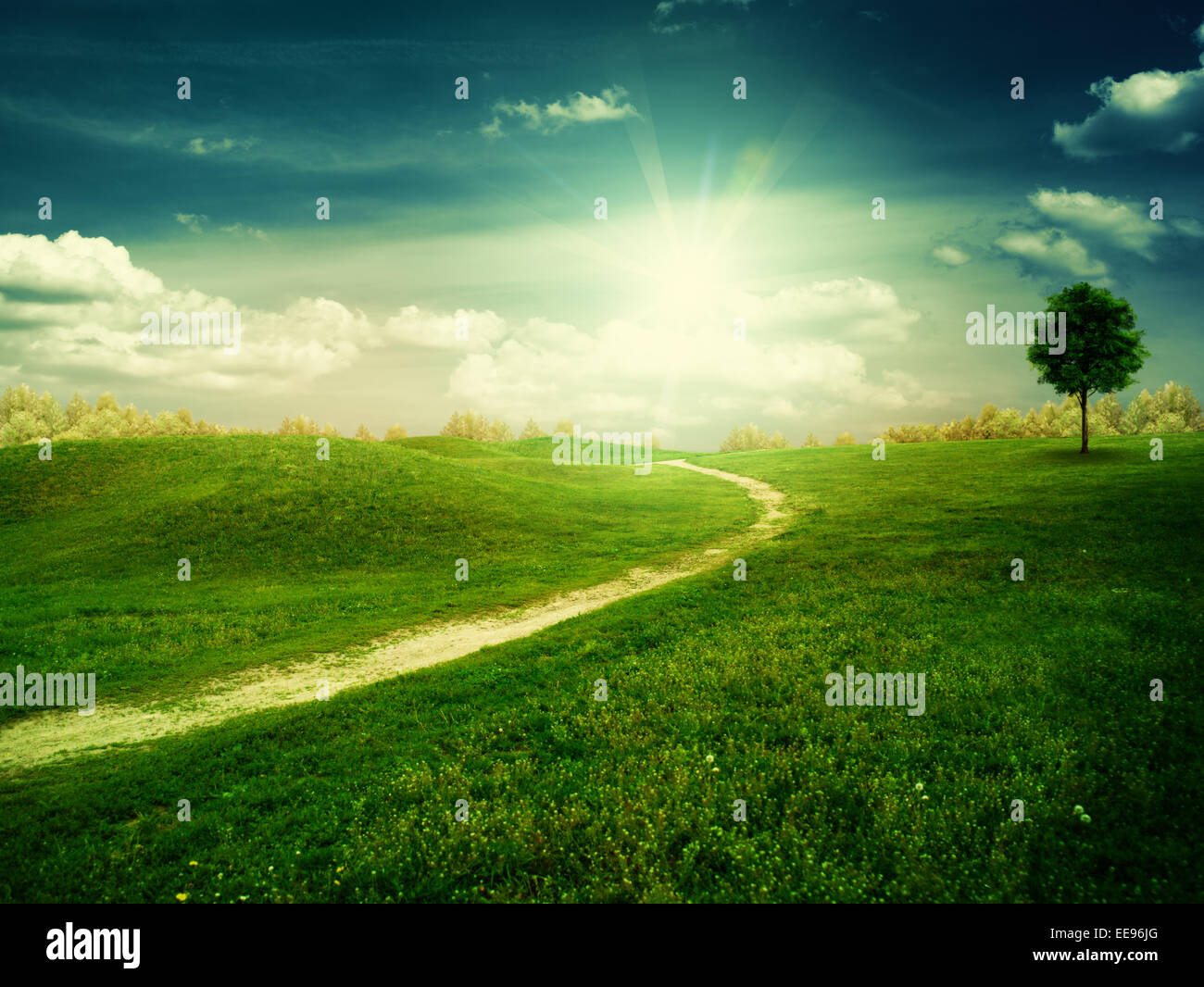 Beauty summer evening on the farm, environmental backgrounds Stock ...