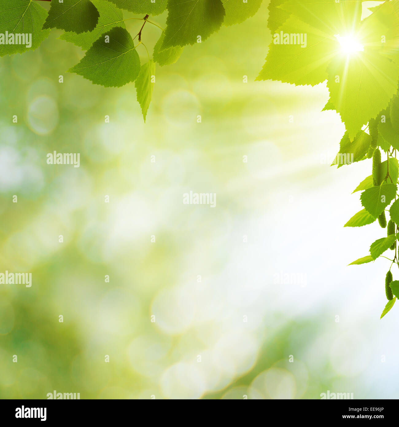 Summer seasonal backgrounds for your design Stock Photo - Alamy