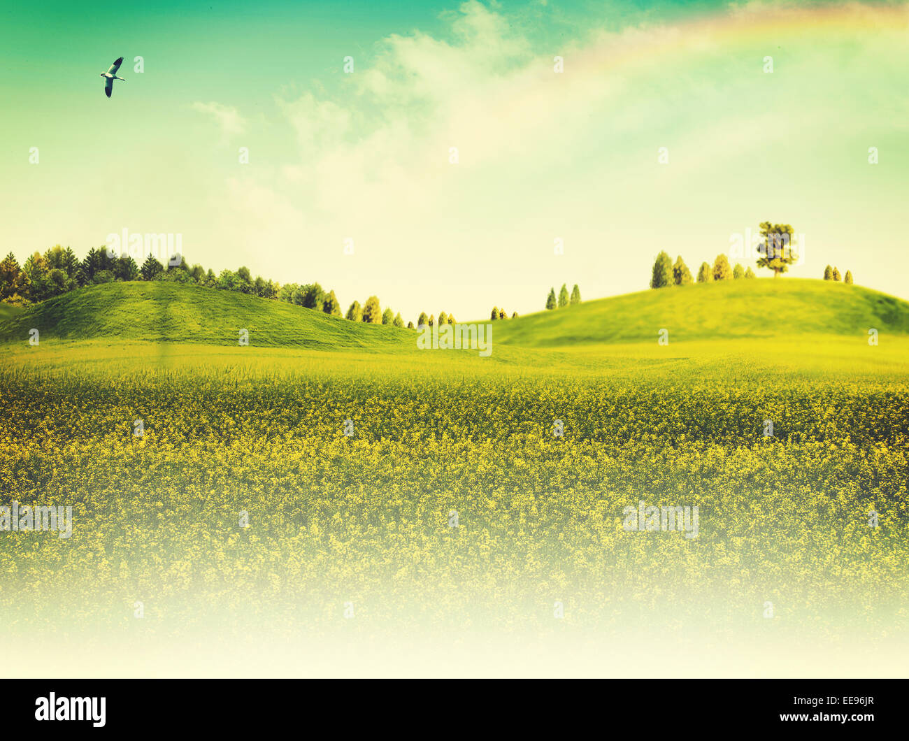 Summer seasonal backgrounds for your design Stock Photo - Alamy