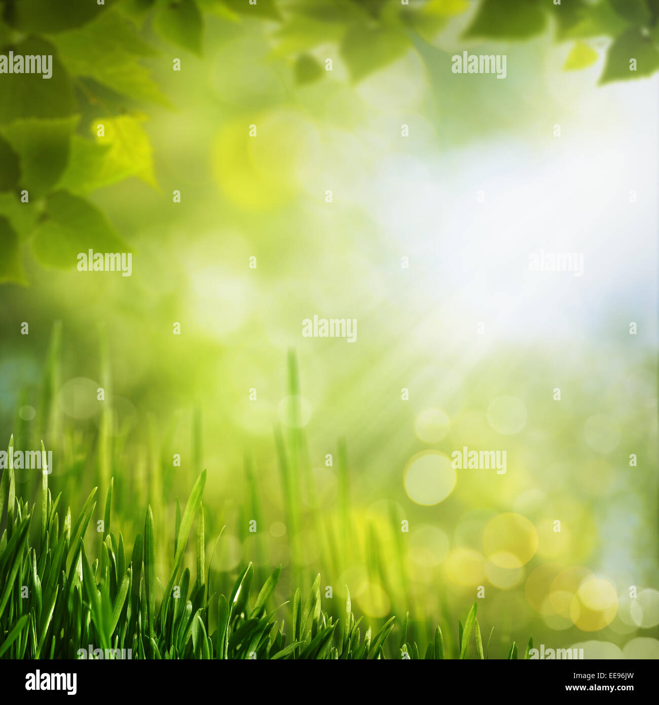 Summer seasonal backgrounds for your design Stock Photo - Alamy
