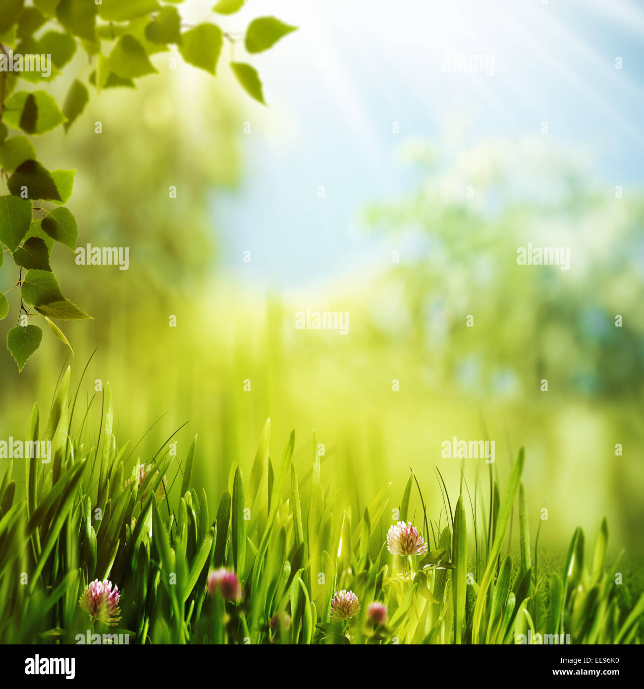 Summer seasonal backgrounds for your design Stock Photo - Alamy