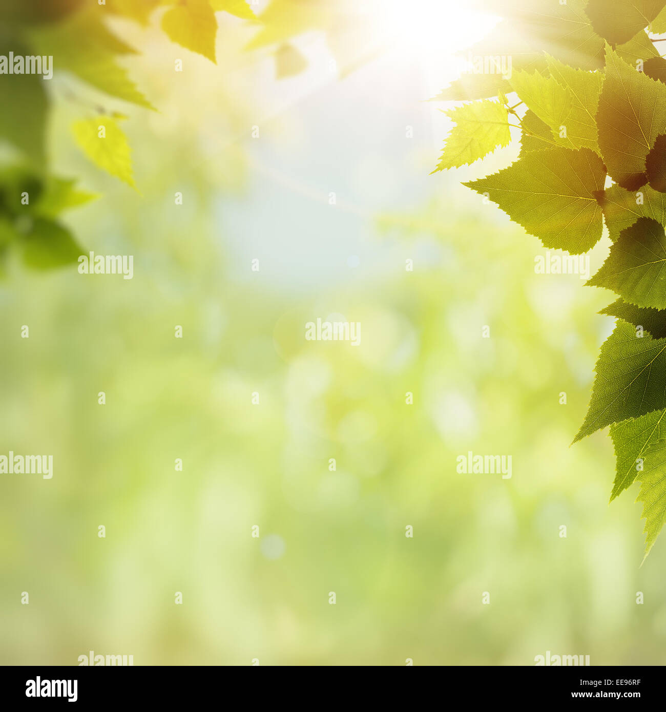 Green Nature, abstract environmental backgrounds for your design Stock ...