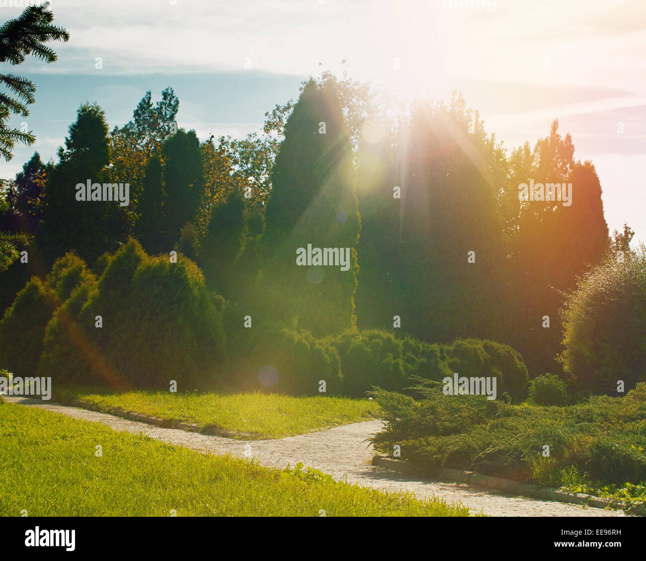 Green Park, abstract environmental backgrounds Stock Photo - Alamy