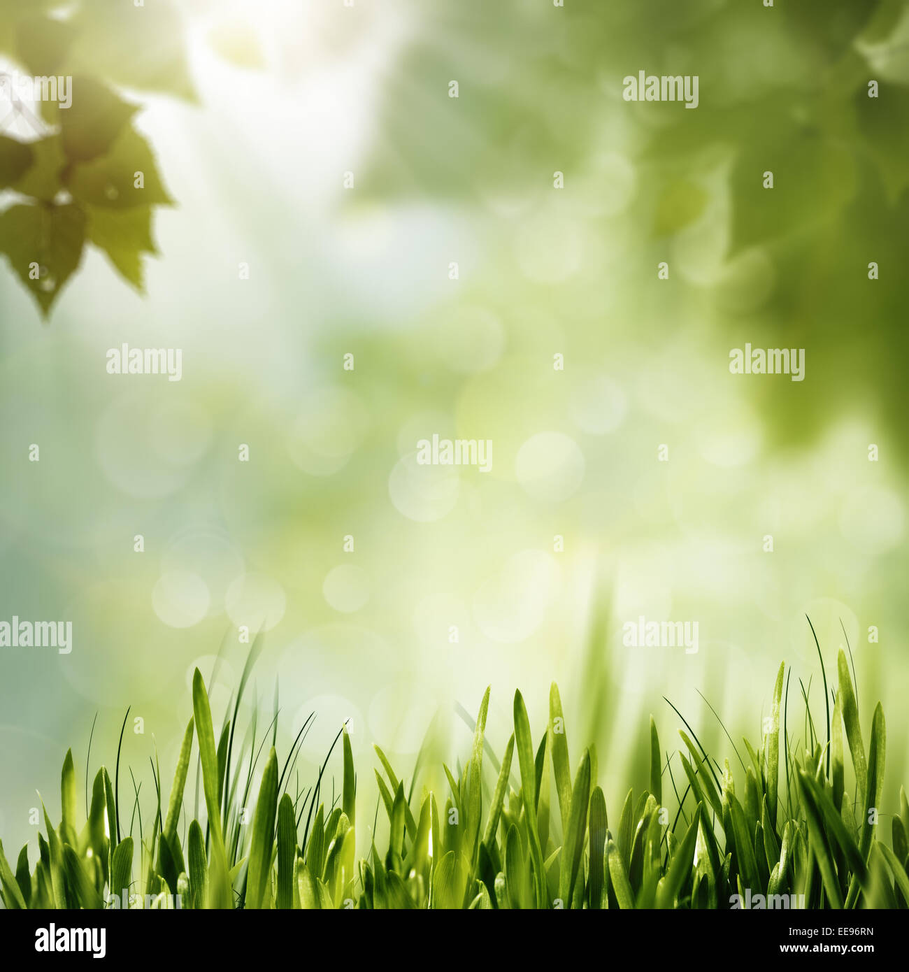 Green Nature, abstract environmental backgrounds for your design Stock ...