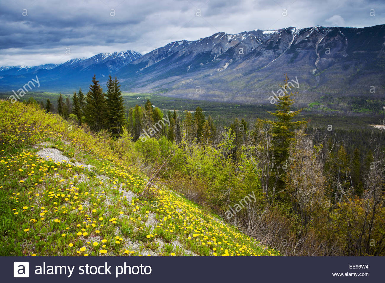 Seasonal Storms High Resolution Stock Photography and Images - Alamy