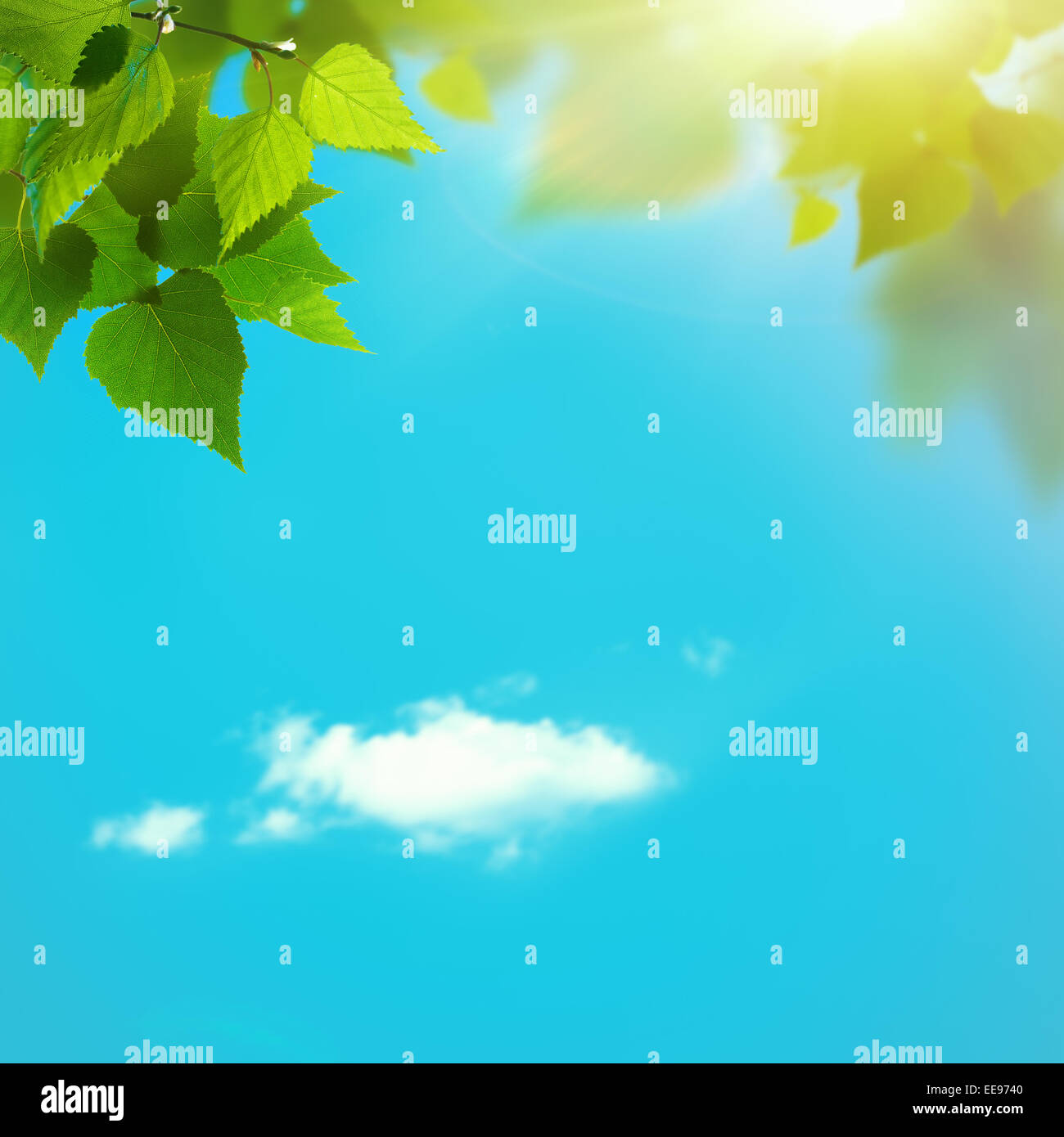 summer view. abstract natural backgrounds for your design Stock Photo ...