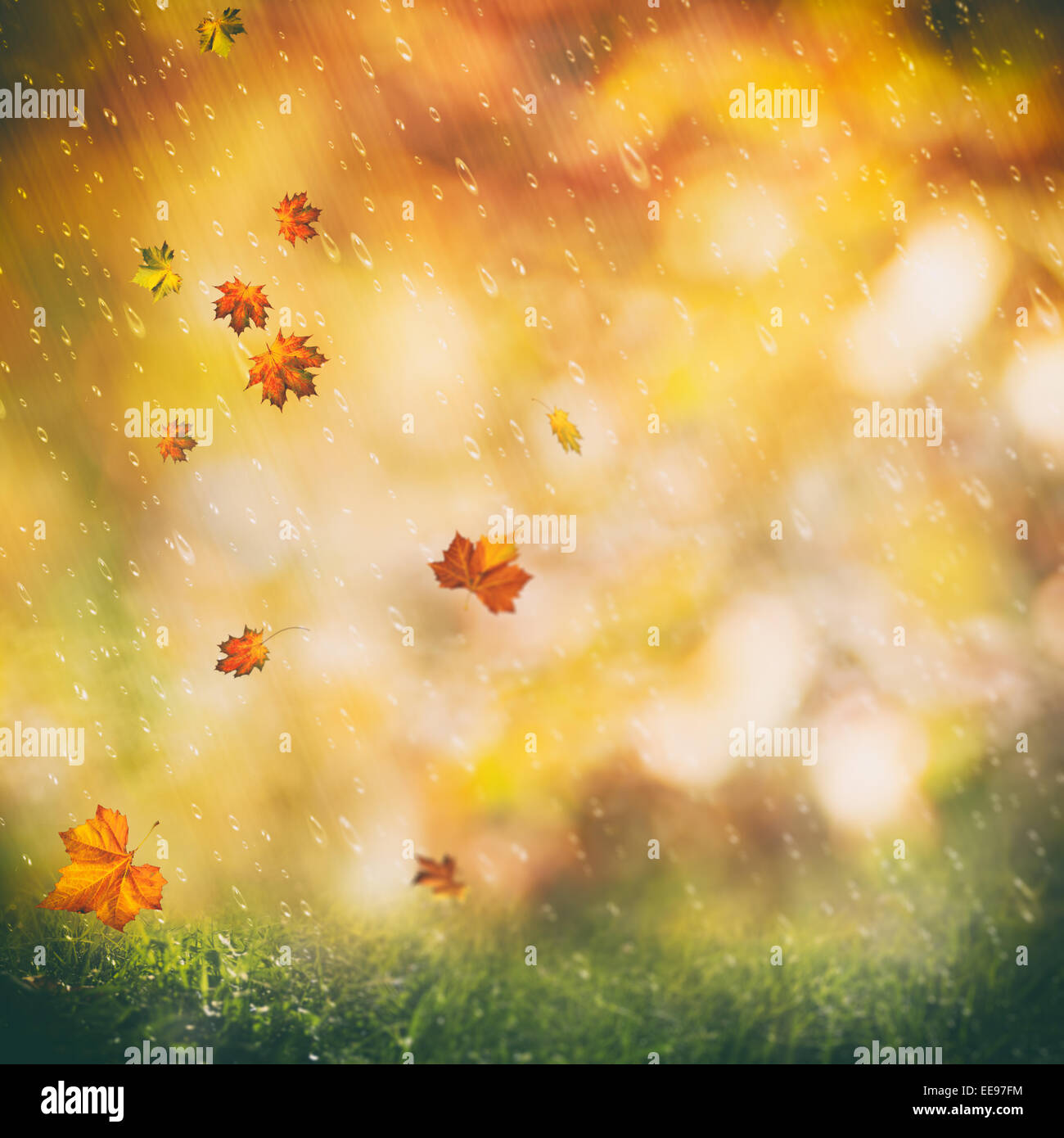 october rain, beauty autumnal backgrounds with faded colors Stock Photo ...