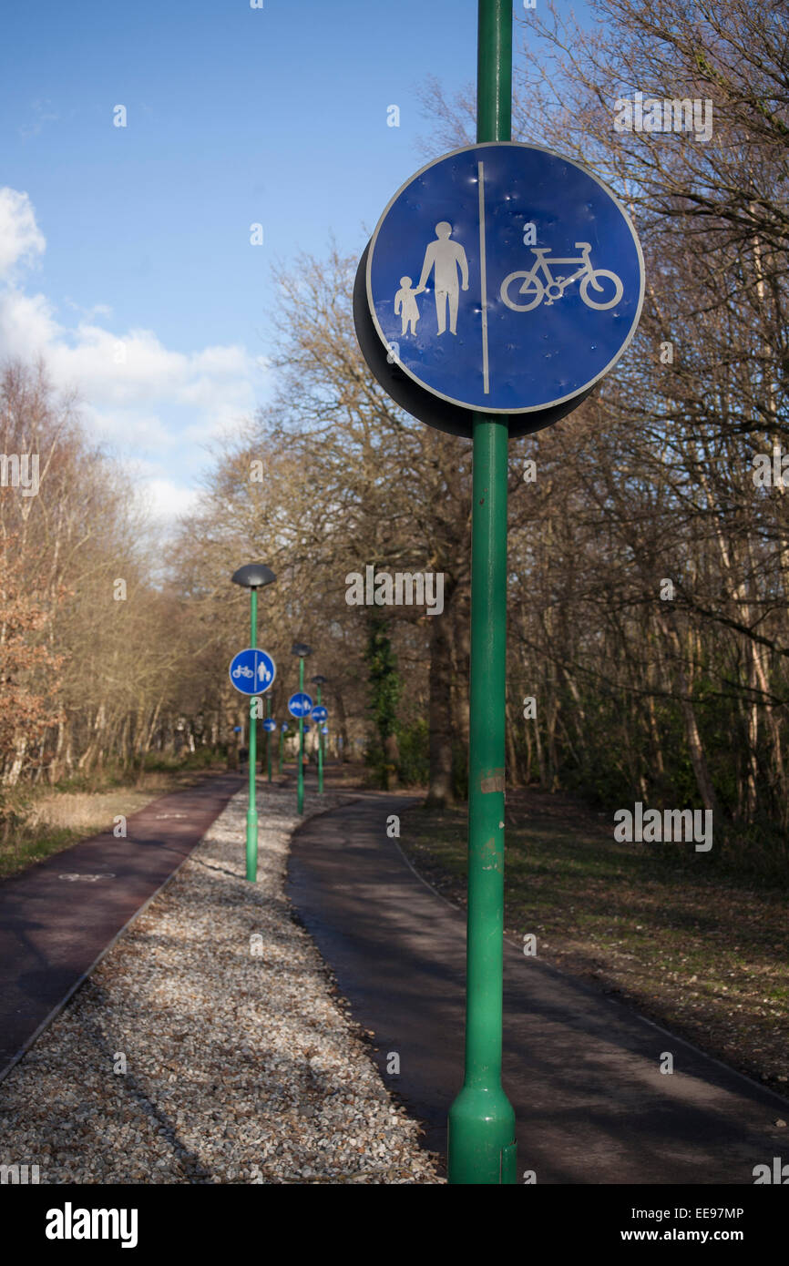 Cycle and pedestrian paths amongst trees, Parkwood, University of Kent ...