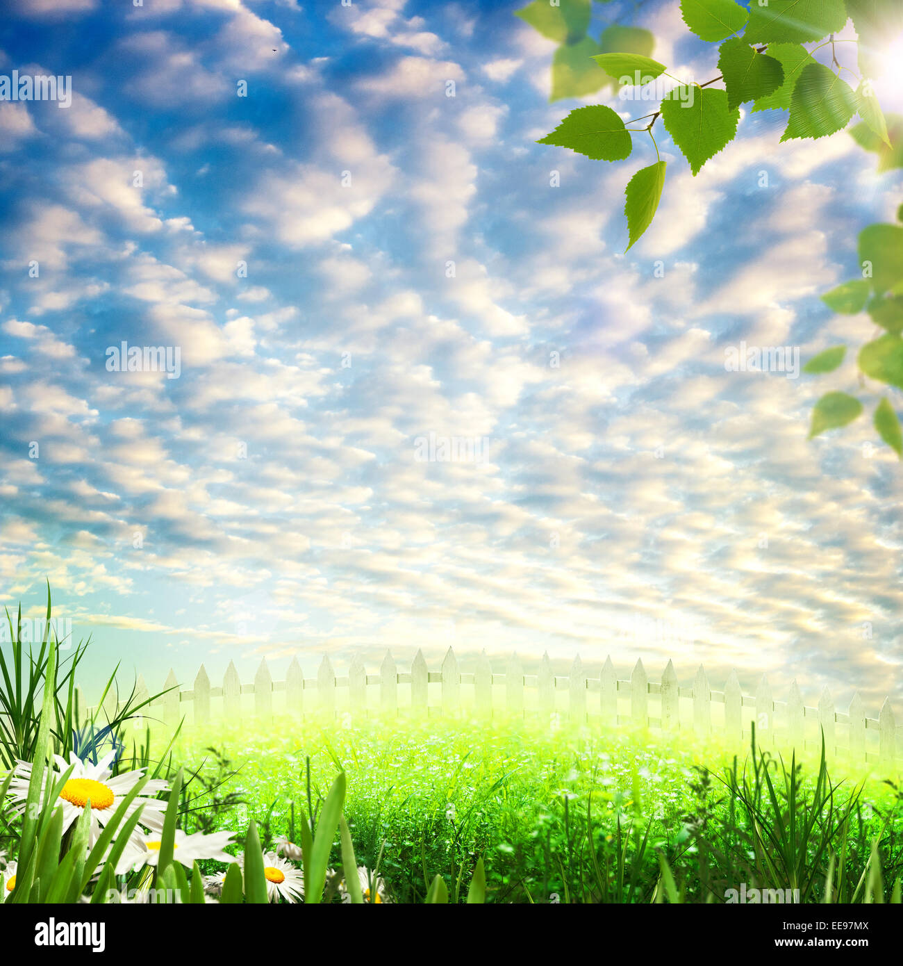 Summer time in the village, abstract environmental backgrounds Stock ...