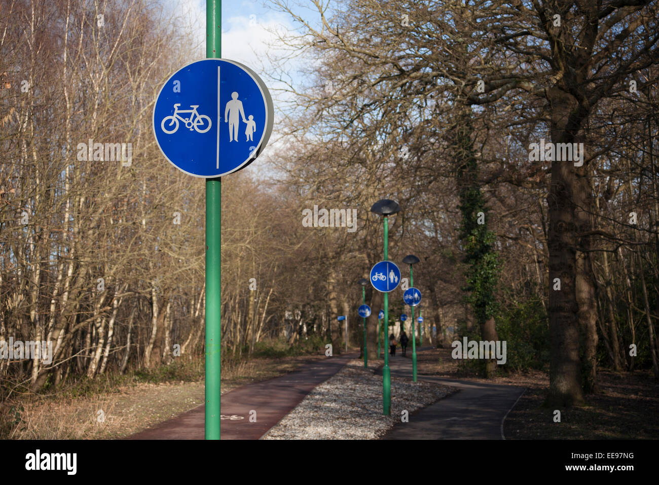 Cycle and pedestrian paths amongst trees, Parkwood, University of Kent ...