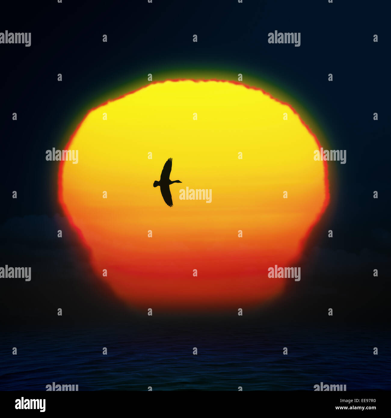 Bright sun on sunset sky with birds silhouette, abstract background ...