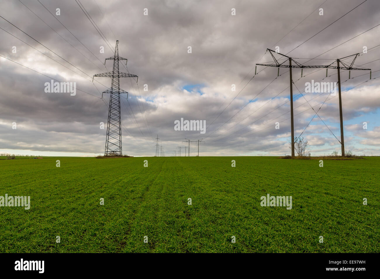 Power pylons in a field on a foggy morning in the Netherlands Stock ...