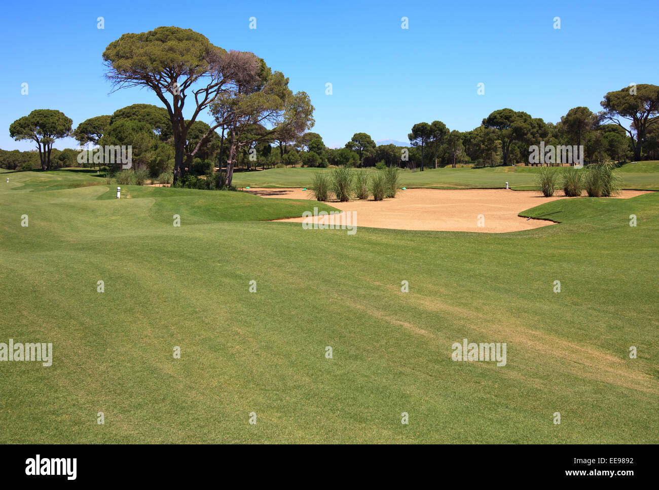 Golf course with sand trap Stock Photo - Alamy
