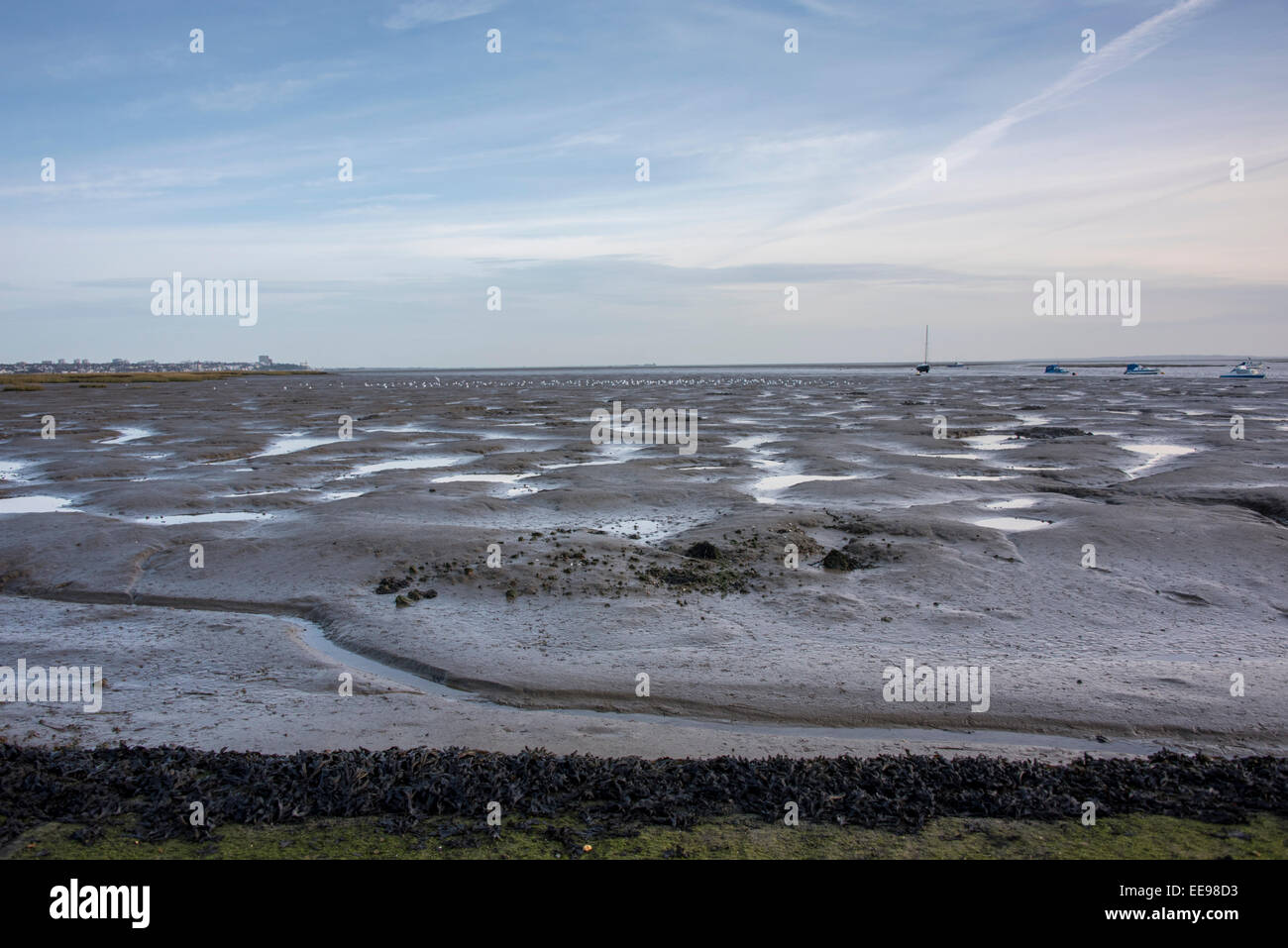 Low tide at Two Tree Island (near Leigh on Sea, Essex) showing the ...