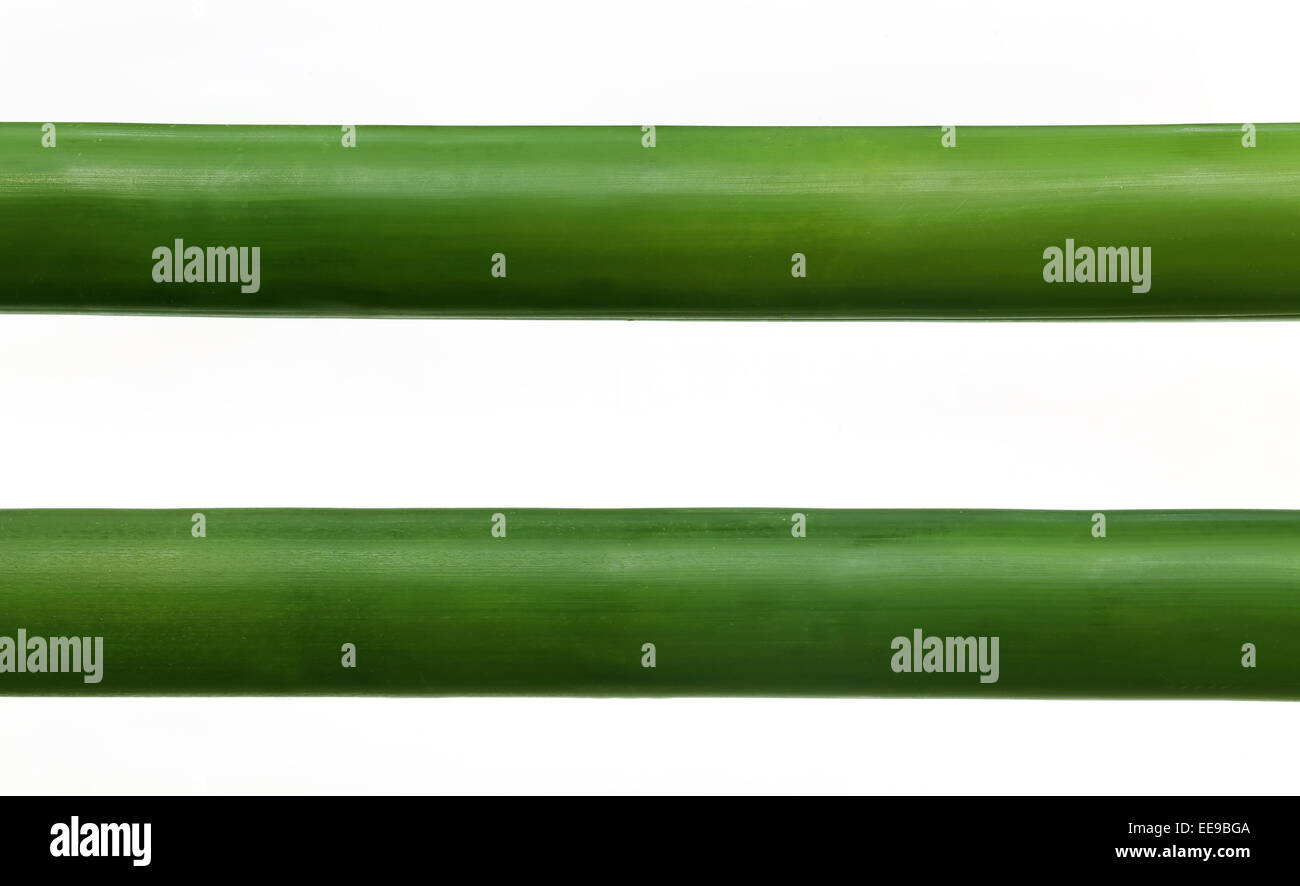 Green bamboo Cut Out Stock Images & Pictures - Alamy