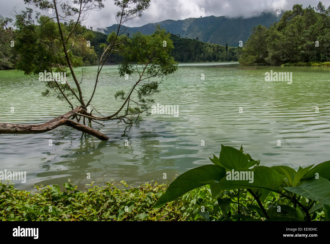 Dieng Central Java High Resolution Stock Photography and Images - Alamy