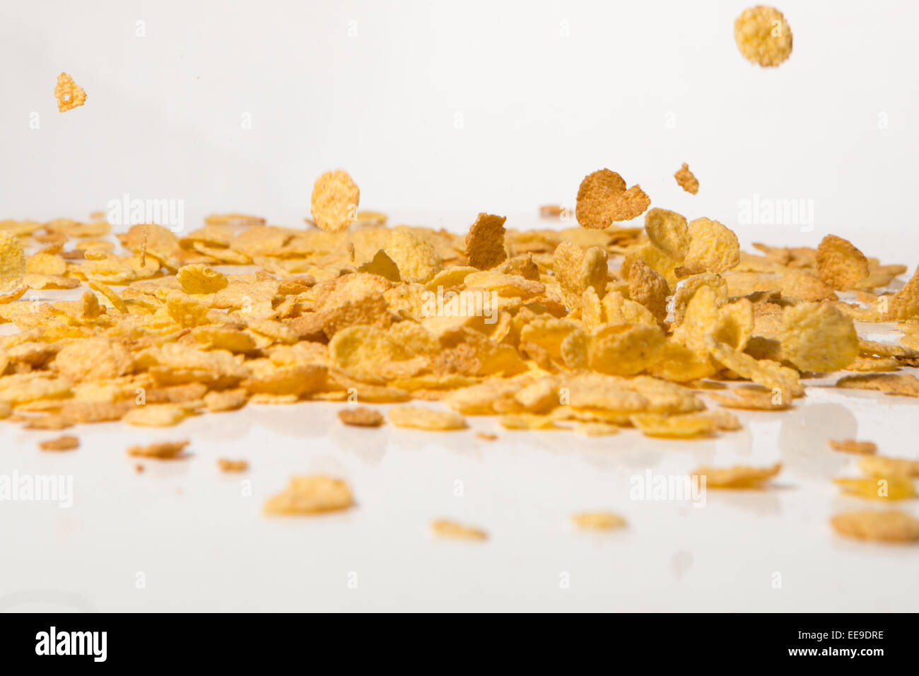 Cornflakes falling into a pile, over white background Stock Photo - Alamy