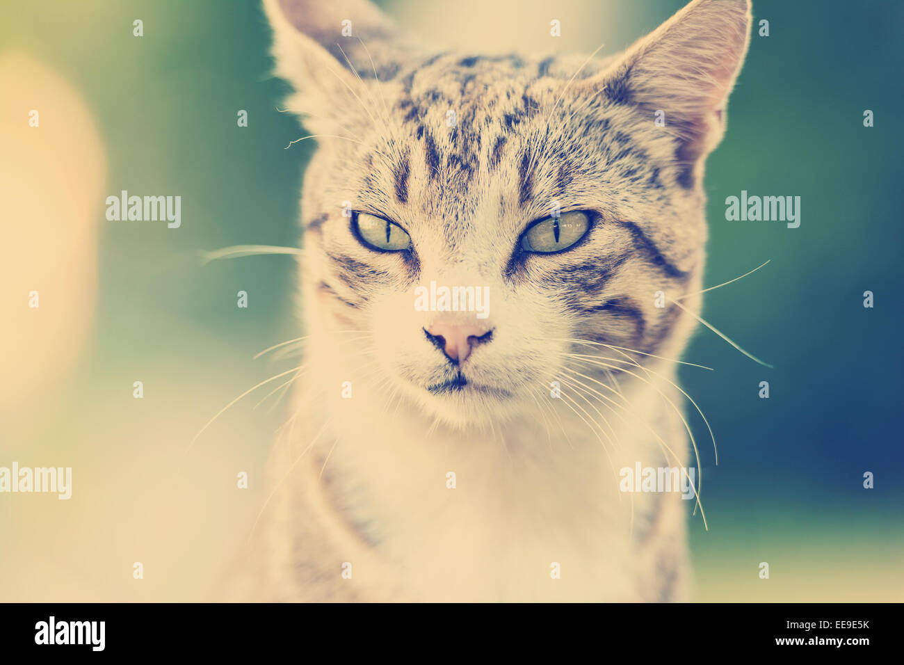 Old photo portrait face color hi-res stock photography and images - Alamy