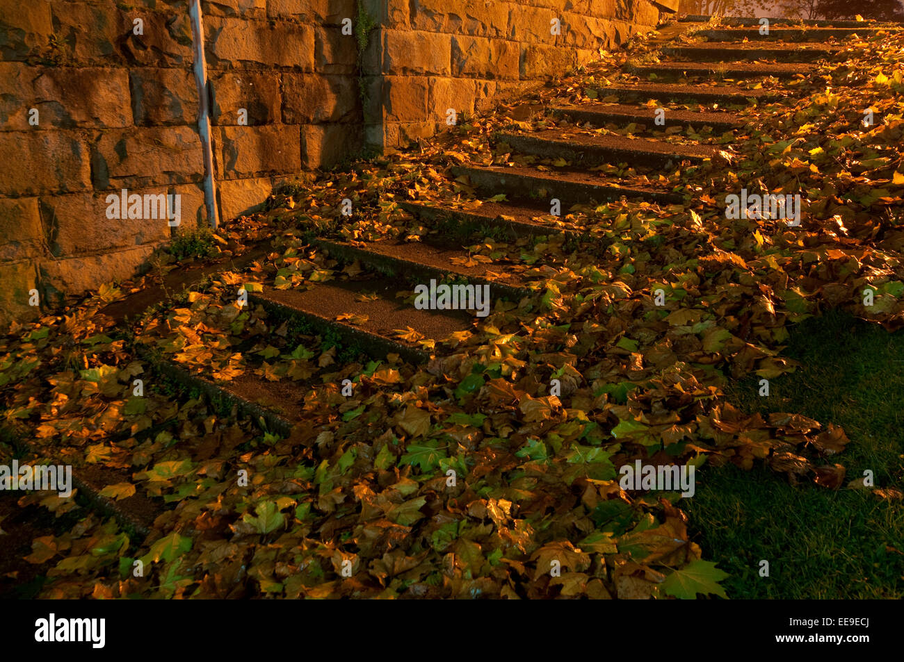 Victoria embankment steps hi-res stock photography and images - Alamy